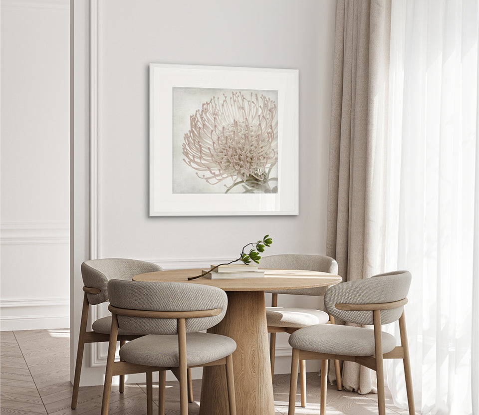 Protea Beauty V | Designer Boys